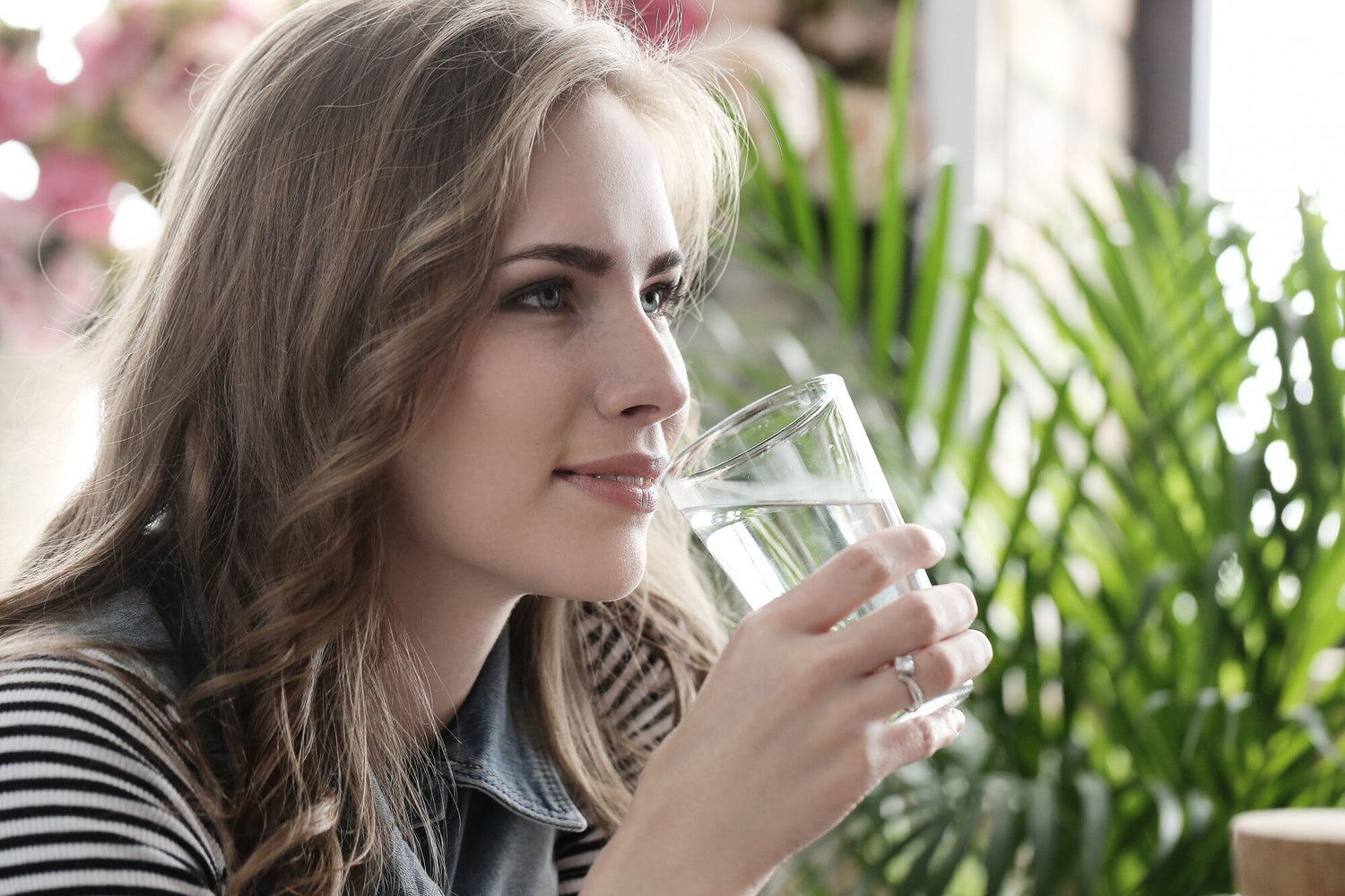 Water Softeners – Neotec